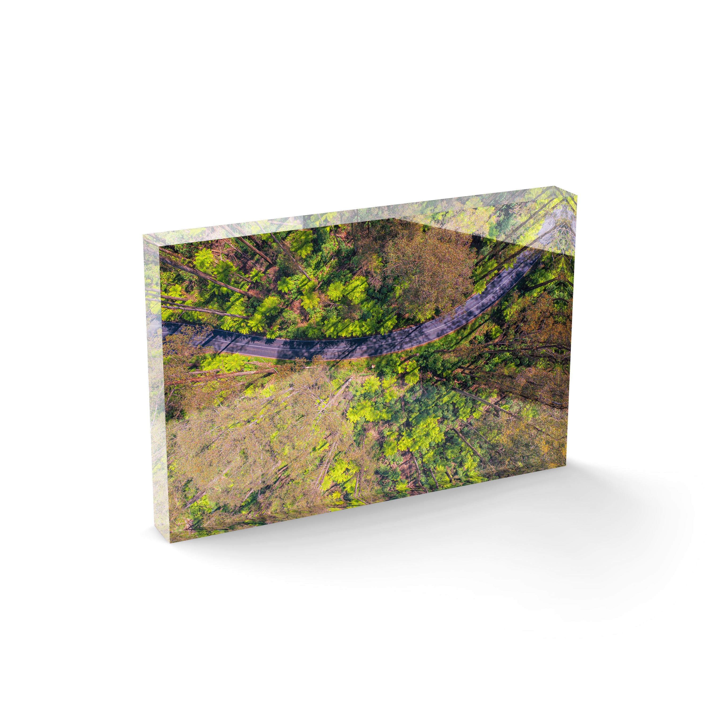 Black Spur Ribbon - Acrylic ICE Block – one20above